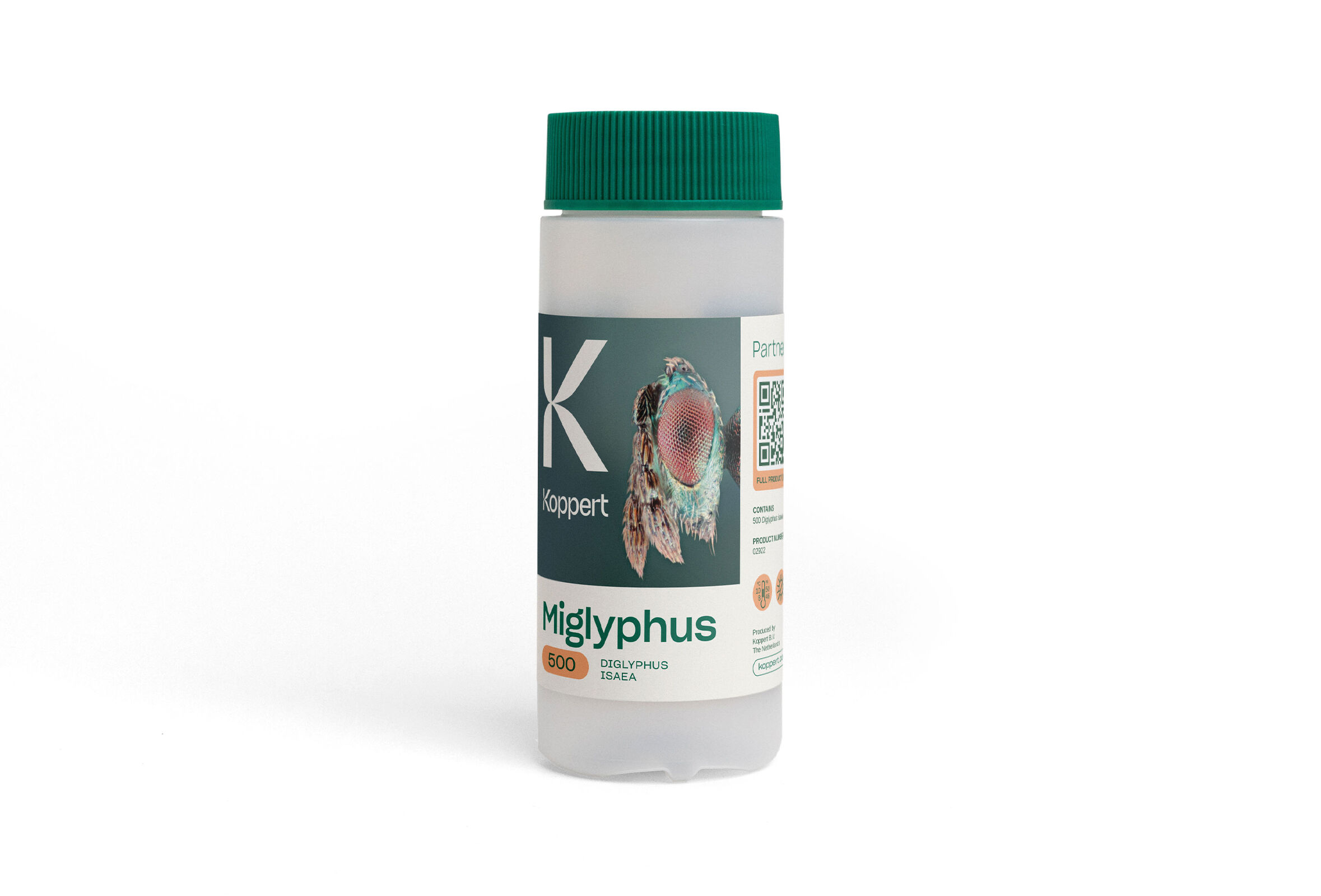 Miglyphus | Controlo do minador das folhas | Vespas parasitas ...