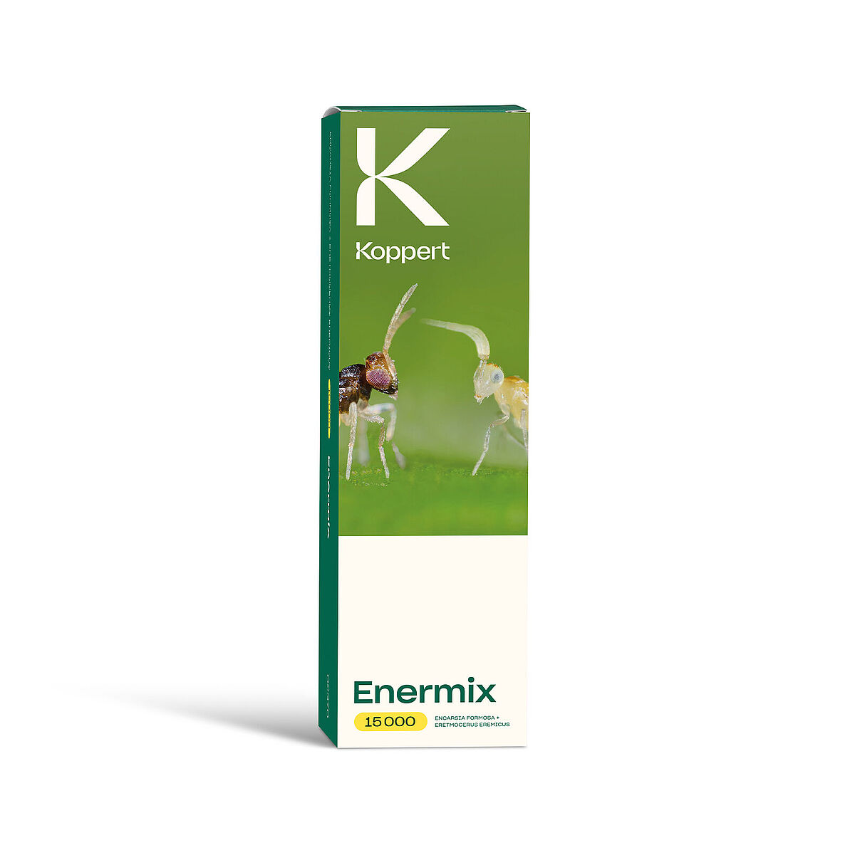 Enermix | Controlo da mosca branca | Vespas parasitas
