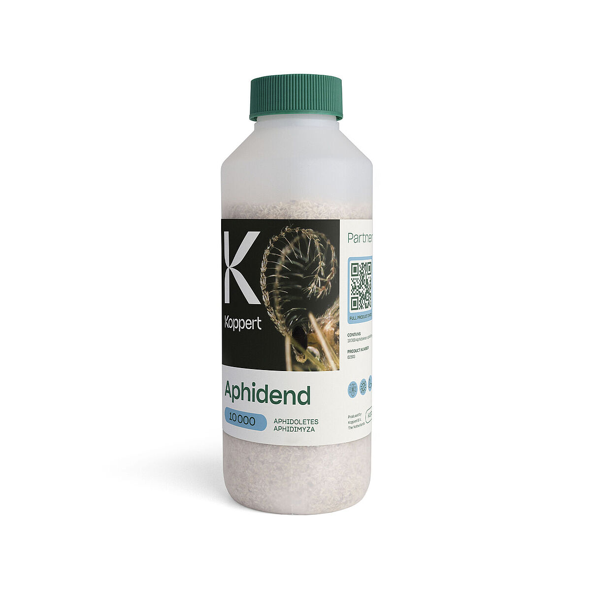 Aphidend | Aphid Control | Gall Midges (Aphidoletes aphidimyza)